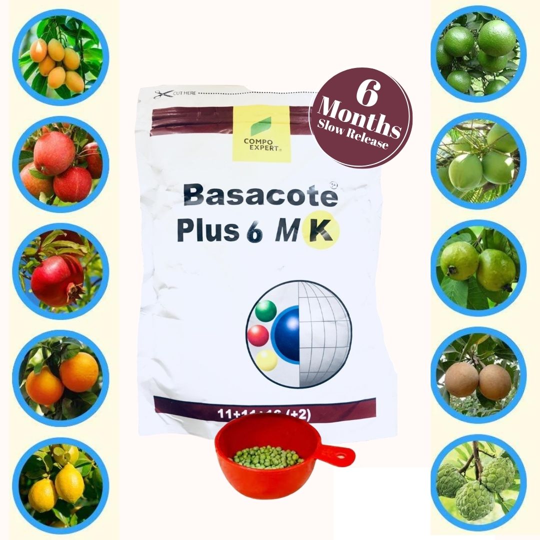 Slow Release Fertilizer (100g pack) 6 Months Slow Release NPK Fertiliz ...
