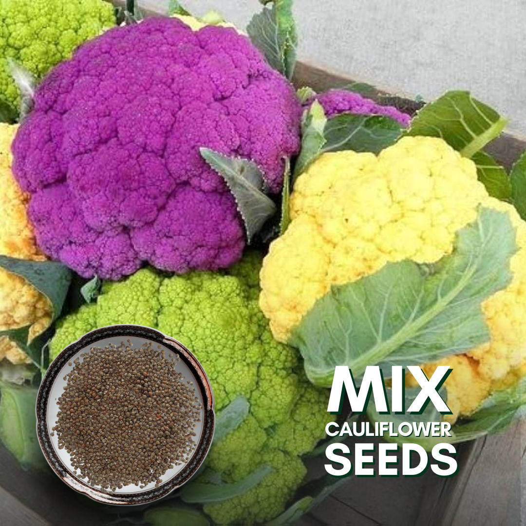 Green Paradise® F1 Hybrid Mix Cauliflower Seeds Pack – GreenParadiseLive