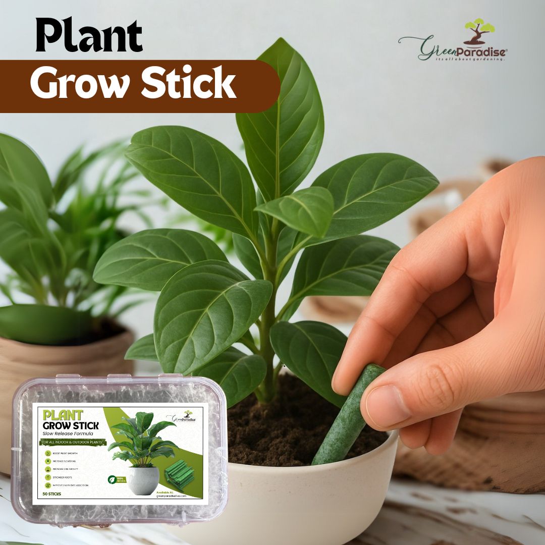 Green Paradise® Plant Grow Stick – 50 Sticks | Boost Growth, Flowering ...