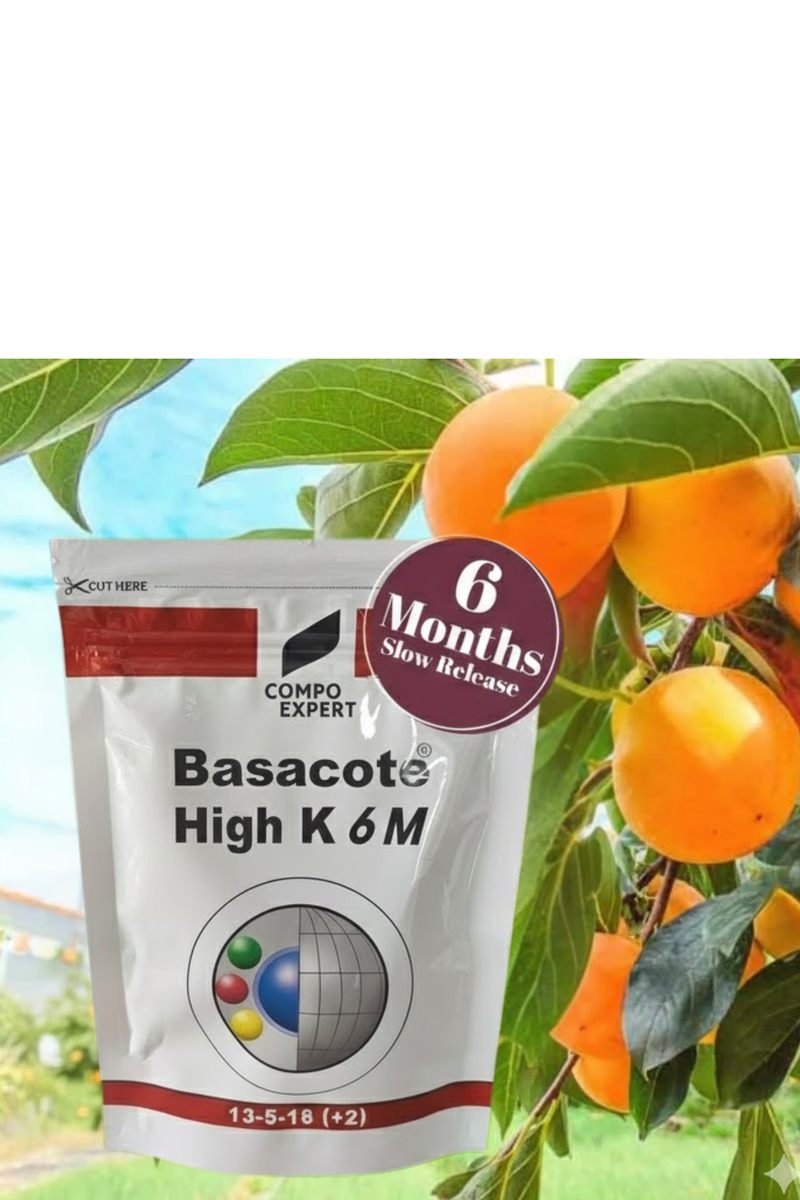 Slow Release Fertilizer (100g pack) 6 Months Slow Release NPK Fertiliz ...